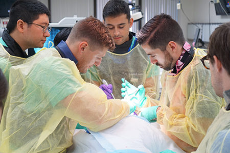 Cadaver Lab - Neurosurgery