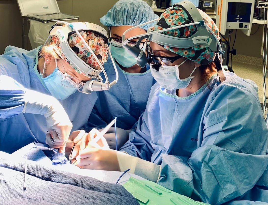 Current Residents, 2025-2026 - Department of Otolaryngology
