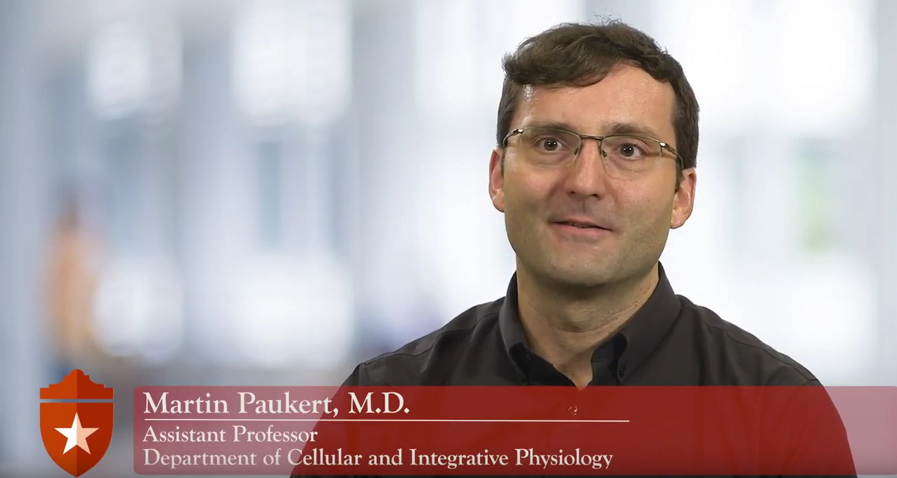Dr. Martin Paukert: Astroglia Research - Cellular and Integrative ...