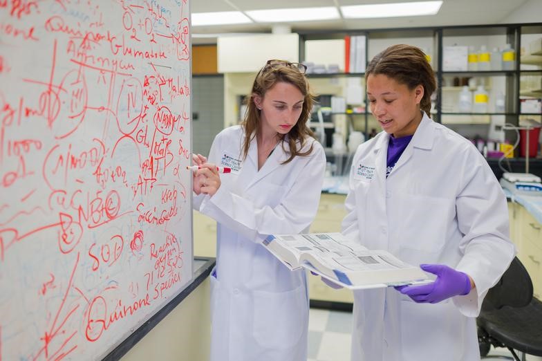 Education Programs - Cellular and Integrative Physiology