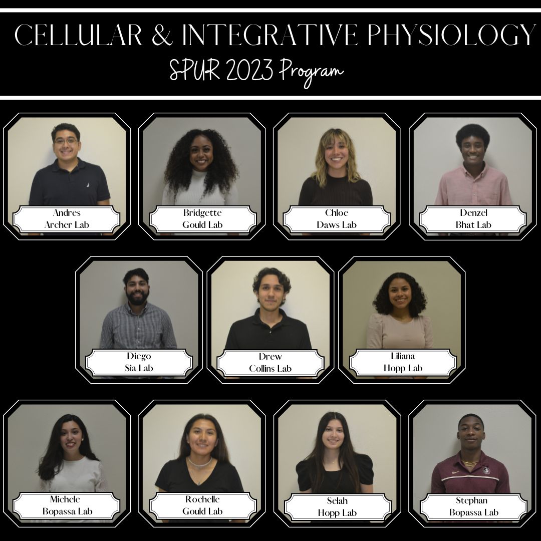 Summer Physiology Undergraduate Researcher (SPUR) Program - Cellular ...